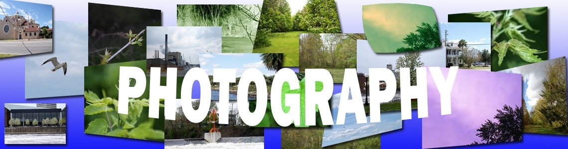 Shane Zentz | Website Developer | Photographer | Graphics