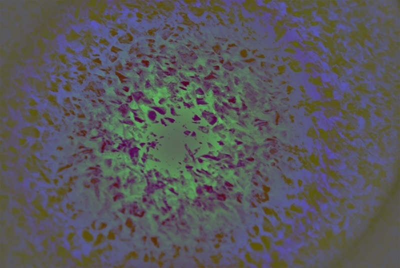 Shane Zentz Photoshop 1 - Shane Zentz